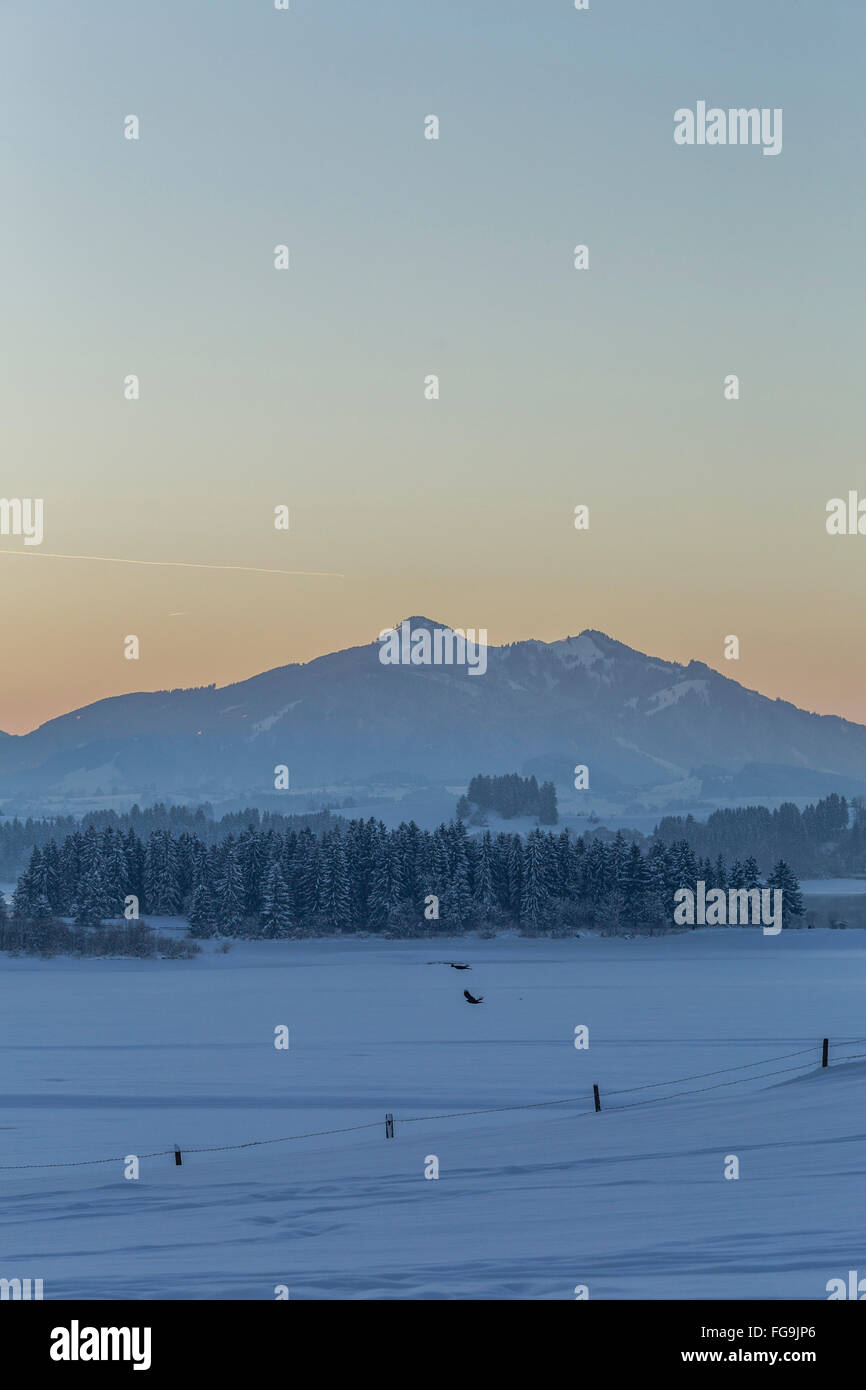 geography / travel, Germany, Bavaria, Schwangau, Allgaeu, view from the ...