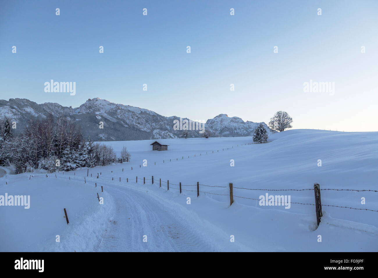 geography / travel, Germany, Bavaria, Schwangau, on the Vogelberg (peak ...