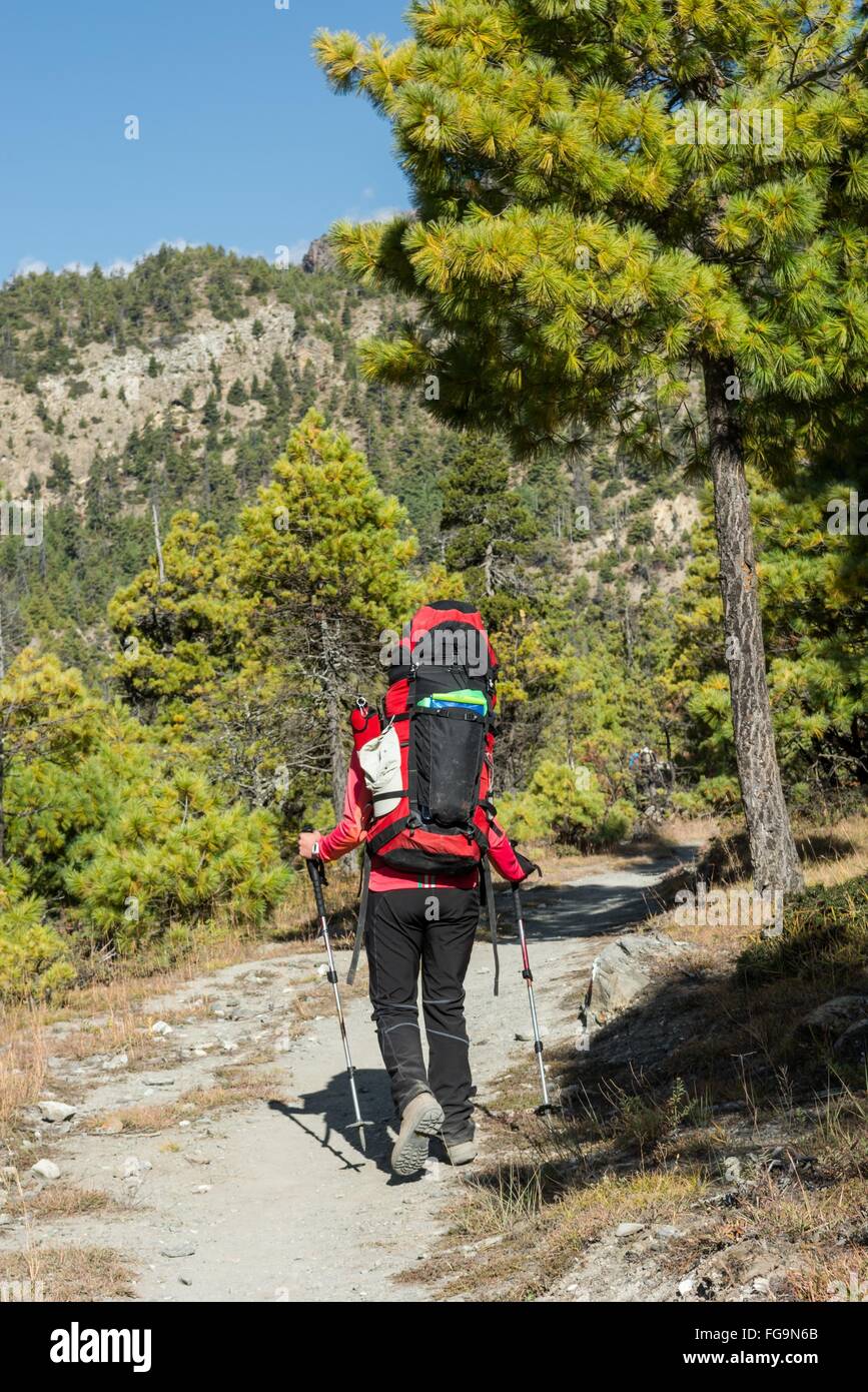 Yount femela trekker on her way through mountain forest Stock Photo - Alamy