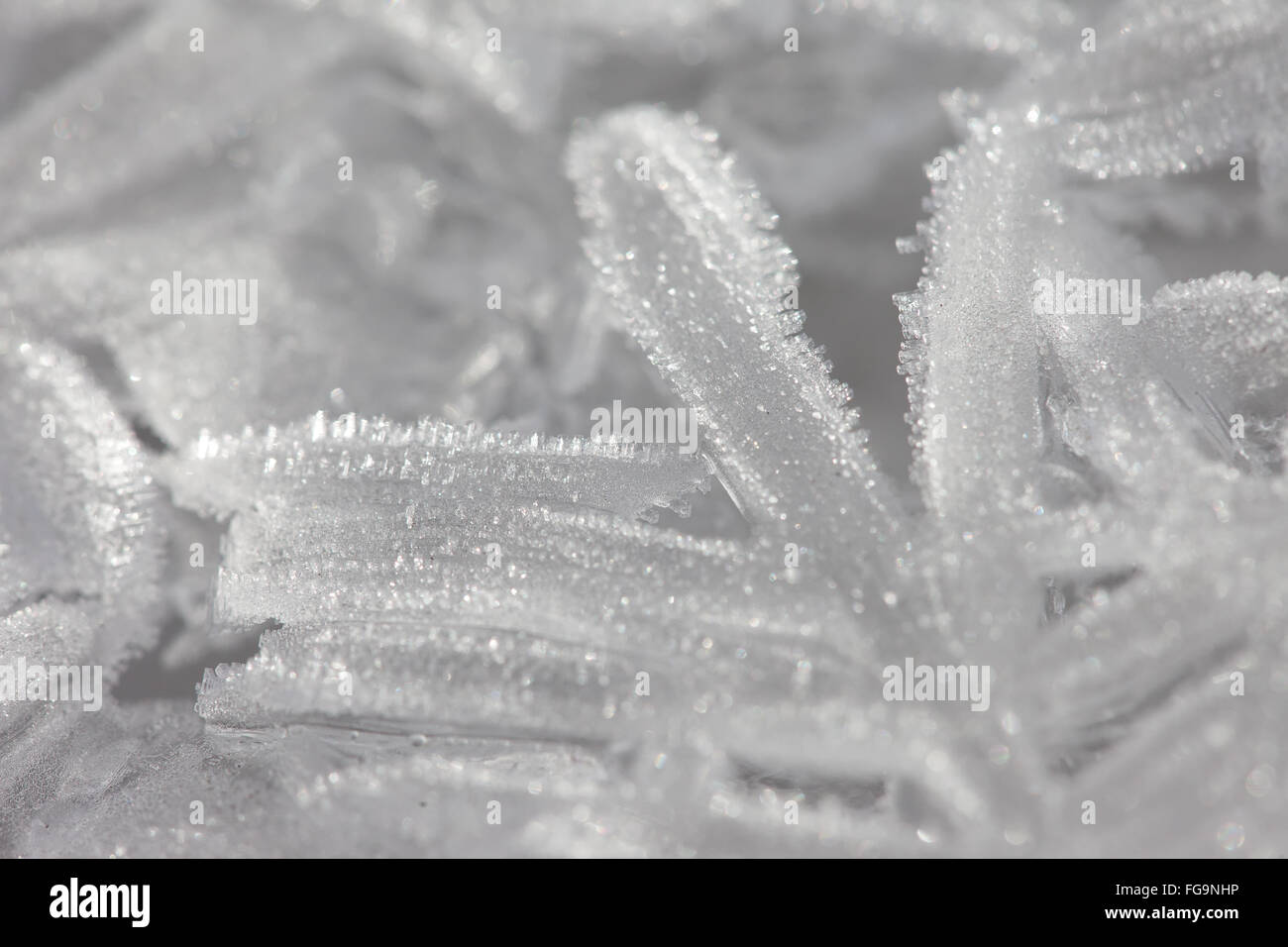 patterns of ice crystals closeup Stock Photo - Alamy