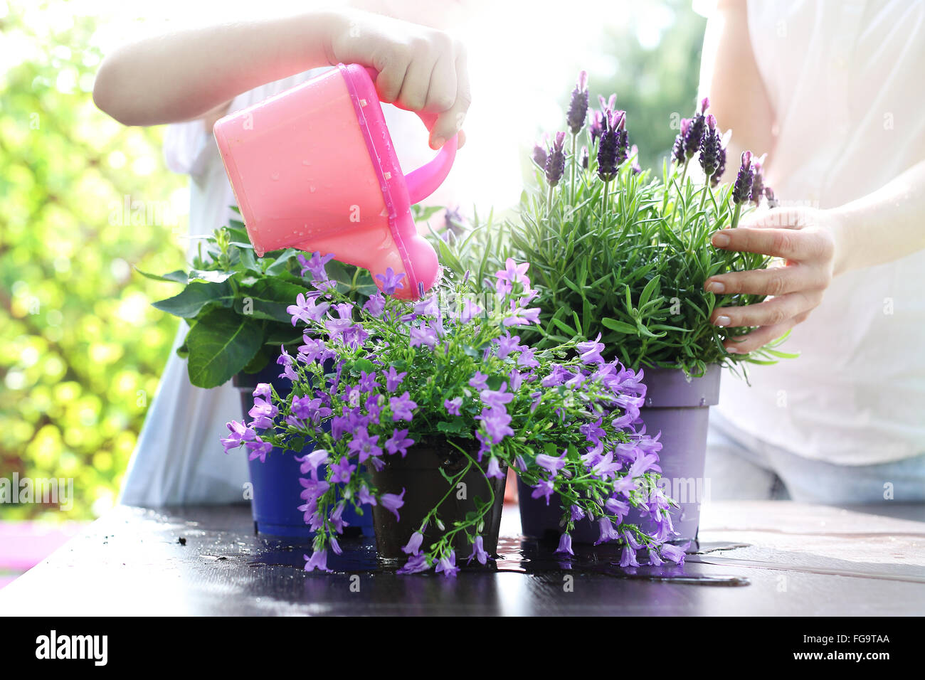 Planting, work in the garden. Female plants in pot plants forming a ...