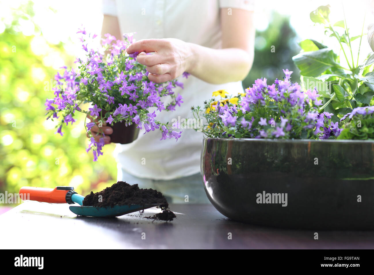 Planting, work in the garden. Female plants in pot plants forming a ...