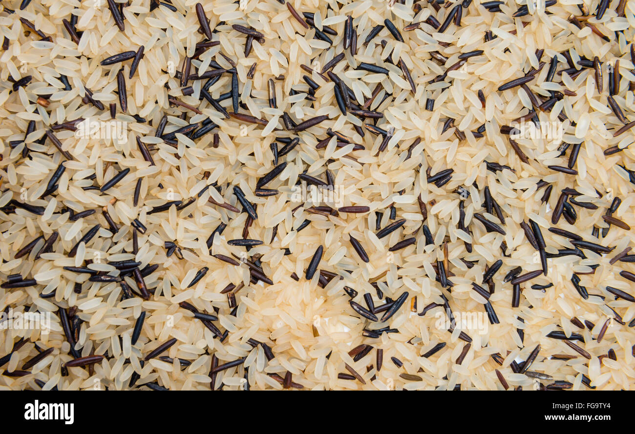Mixed Rice (with Wild Rice) image for use as background image or as ...