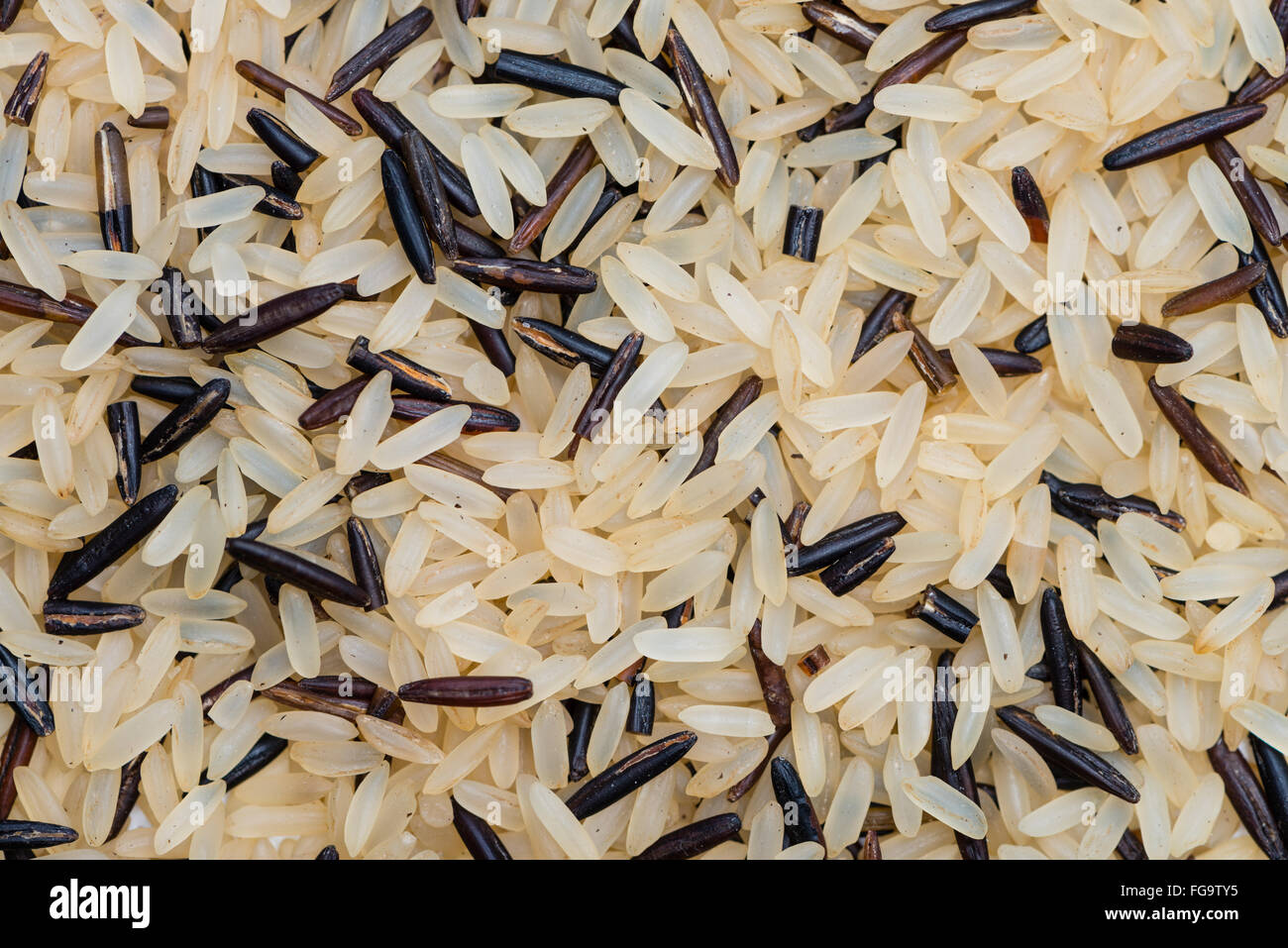 Mixed Rice (with Wild Rice) image for use as background image or as ...