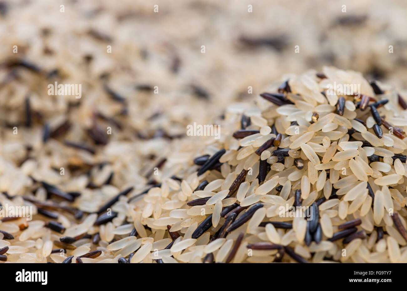Mixed Rice (with Wild Rice) image for use as background image or as ...