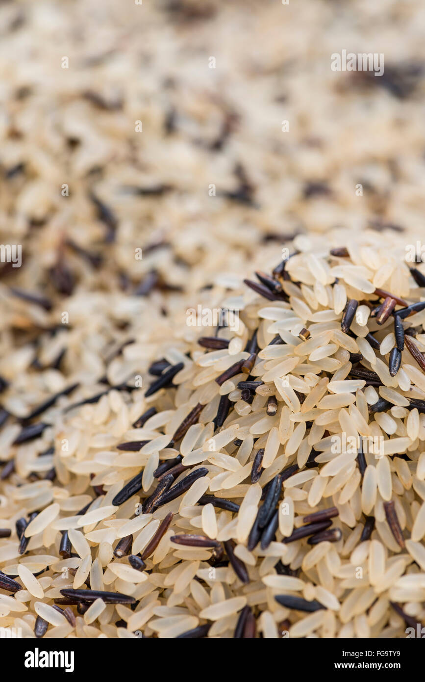 Mixed Rice (with Wild Rice) image for use as background image or as ...