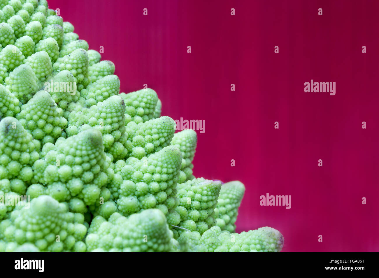 Macro close up detail of a Romanesco Broccoli Stock Photo - Alamy