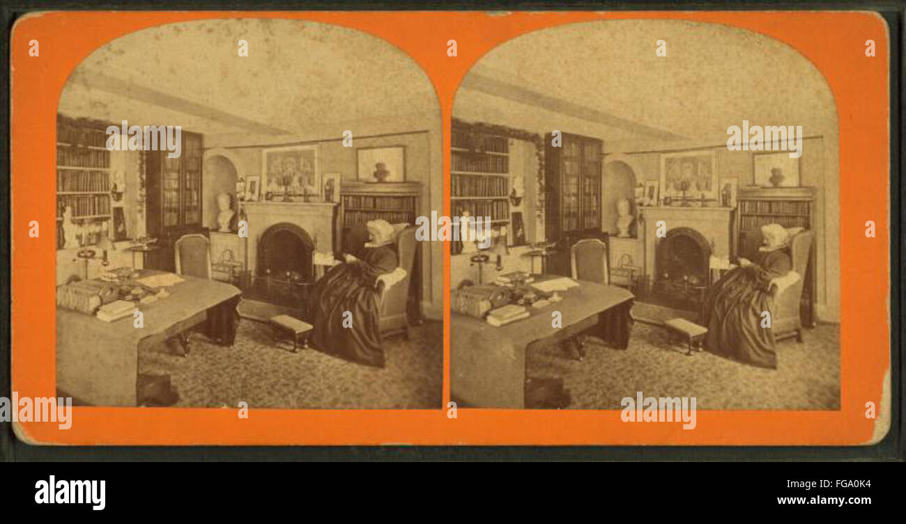 This stereoscopic image from the Robert N. Dennis collection offers a ...
