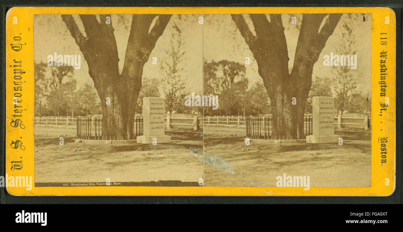 This historic photograph taken by the U.S. Stereoscopic Company shows ...