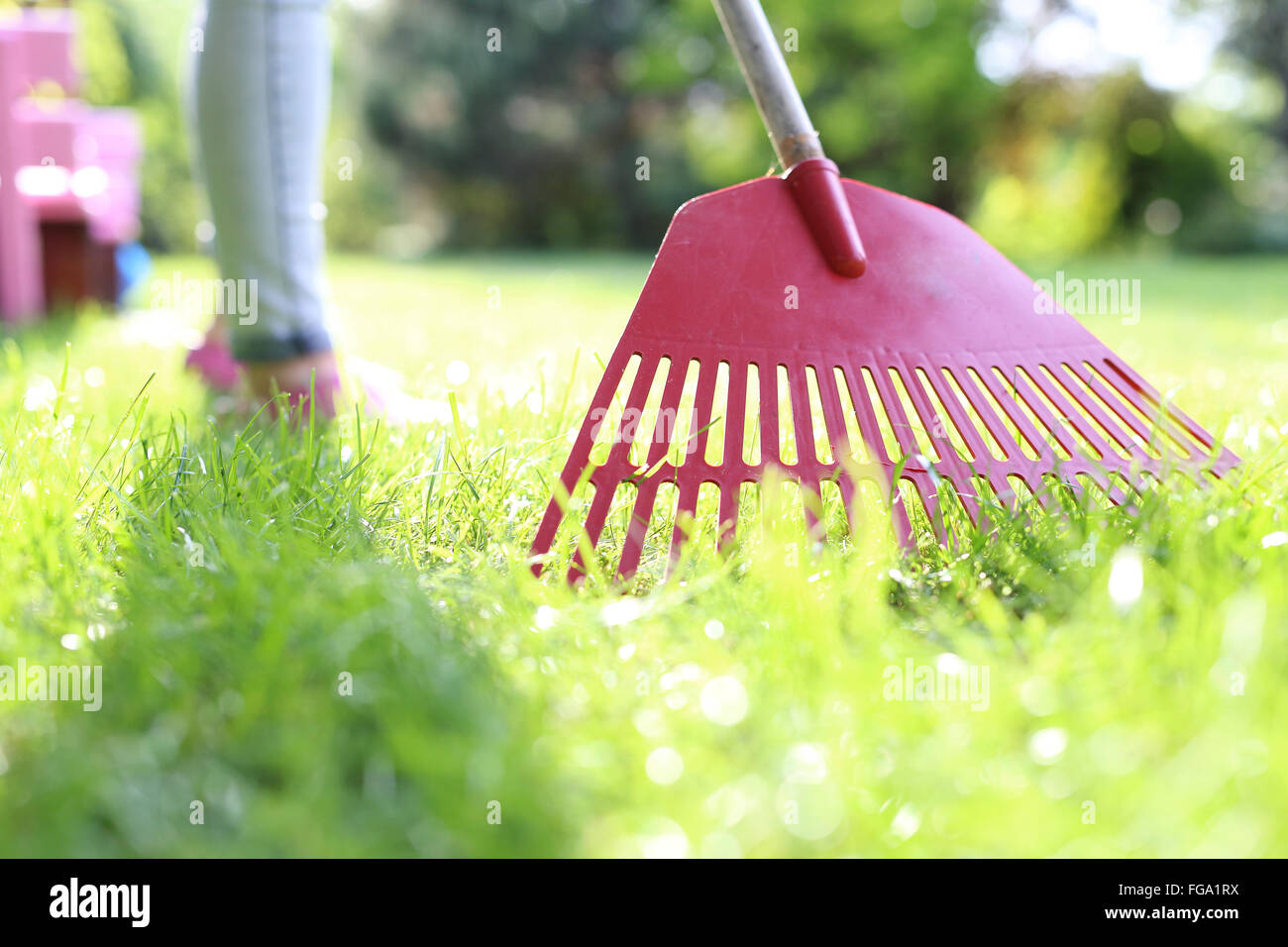 Lawn care. Beautiful green lawn. How to cultivate lawn Stock Photo - Alamy