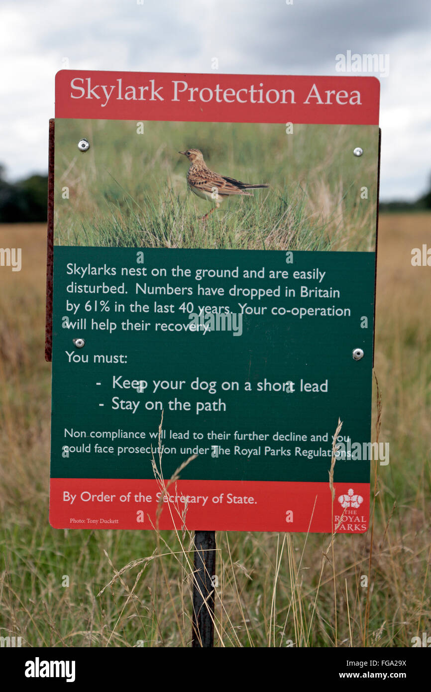 Nesting birds warning sign hi-res stock photography and images - Alamy