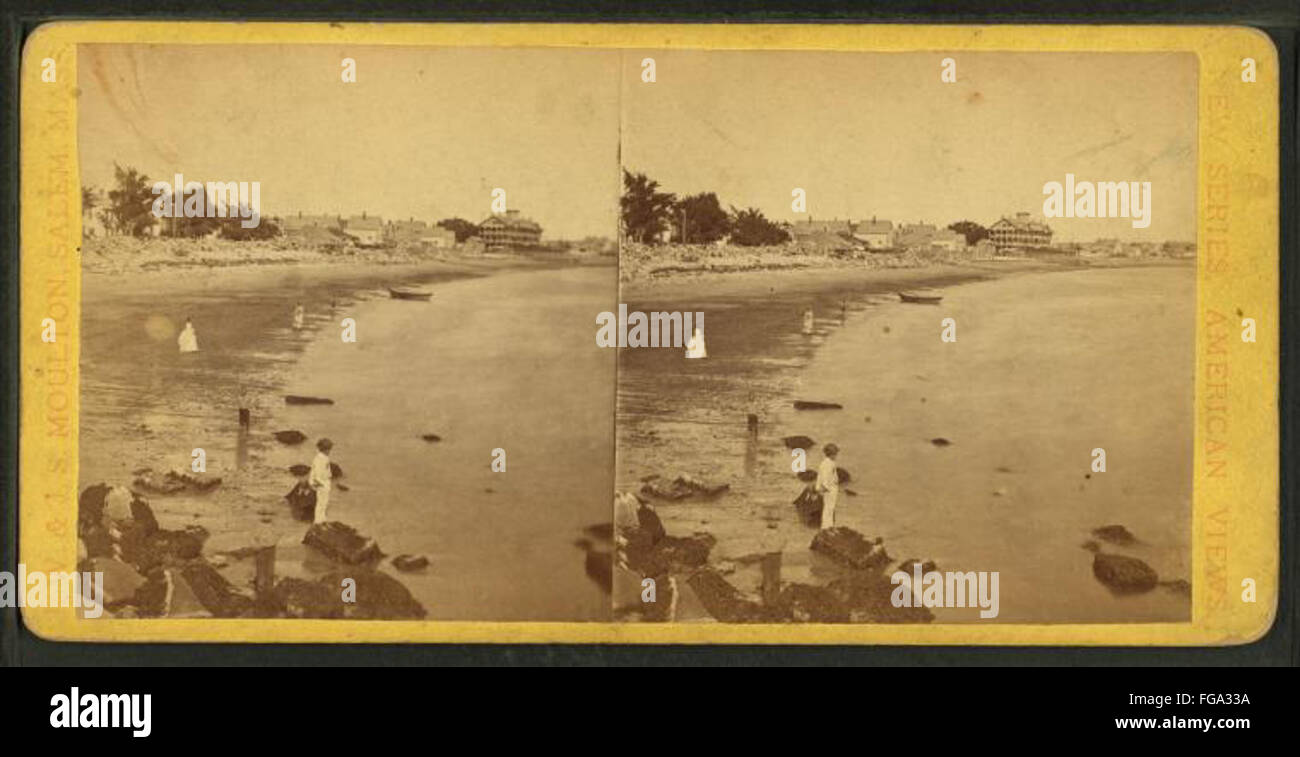 This vintage photograph of Cape Ann scenery, captured by J.W. & J.S ...