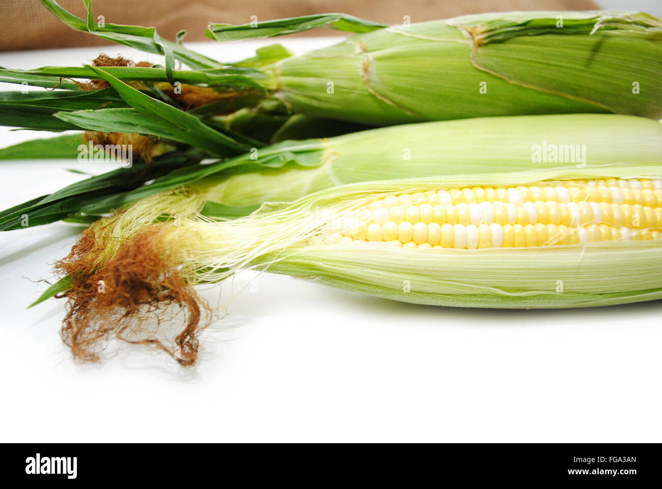 Fresh planted corn field hi-res stock photography and images - Alamy