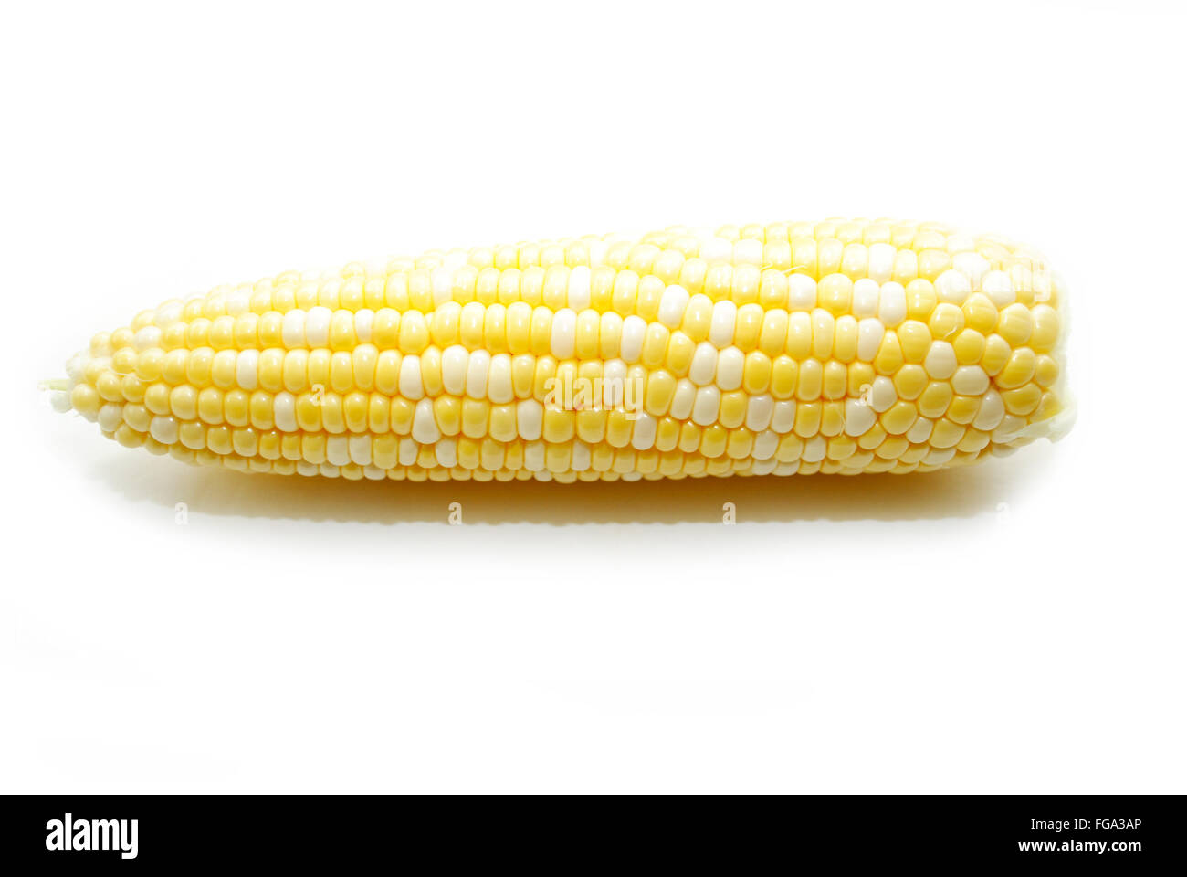 One Corn on the Cob Over White Stock Photo - Alamy