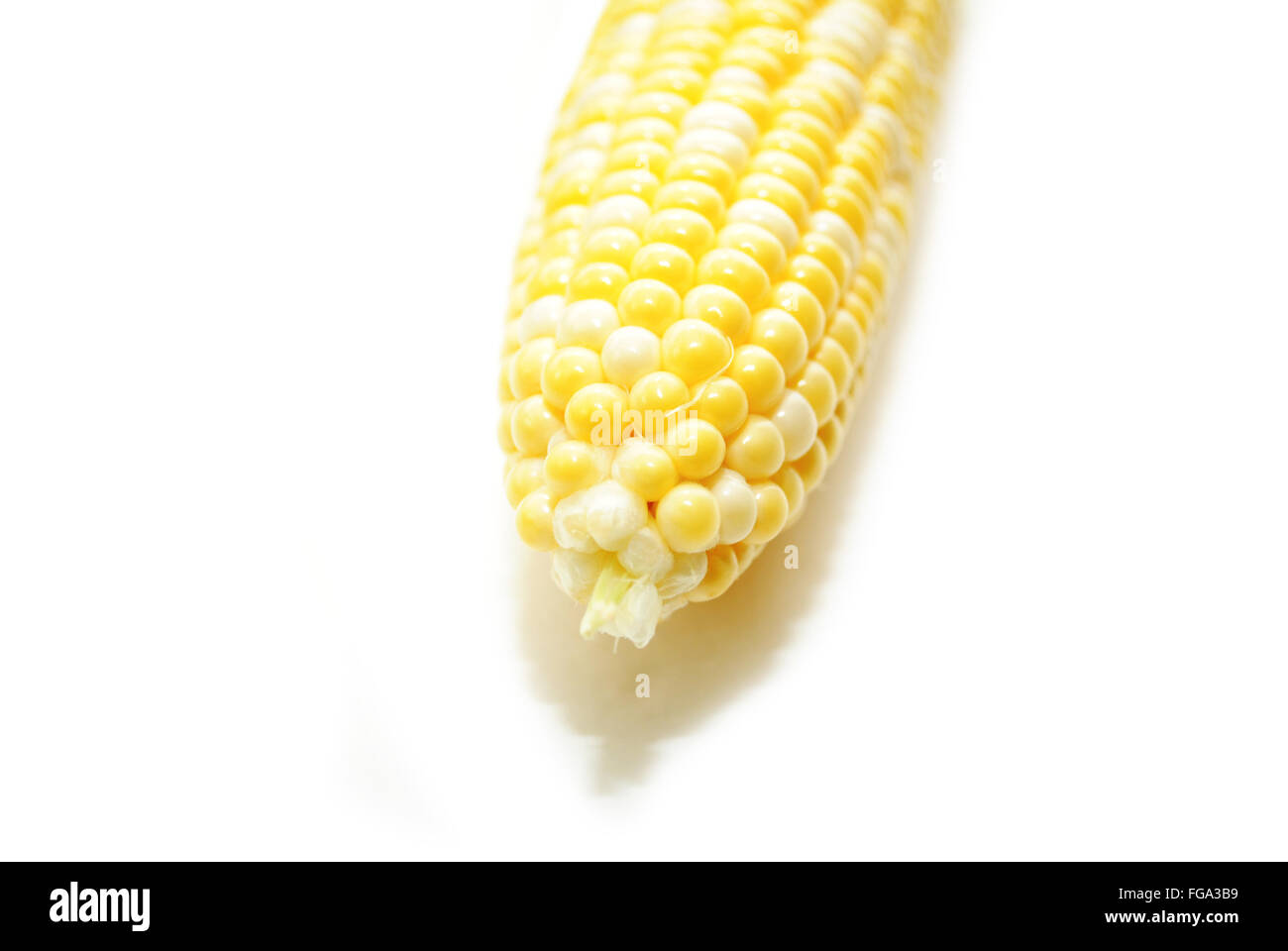 Single Organic Corn Cob Isolated on White Stock Photo - Alamy