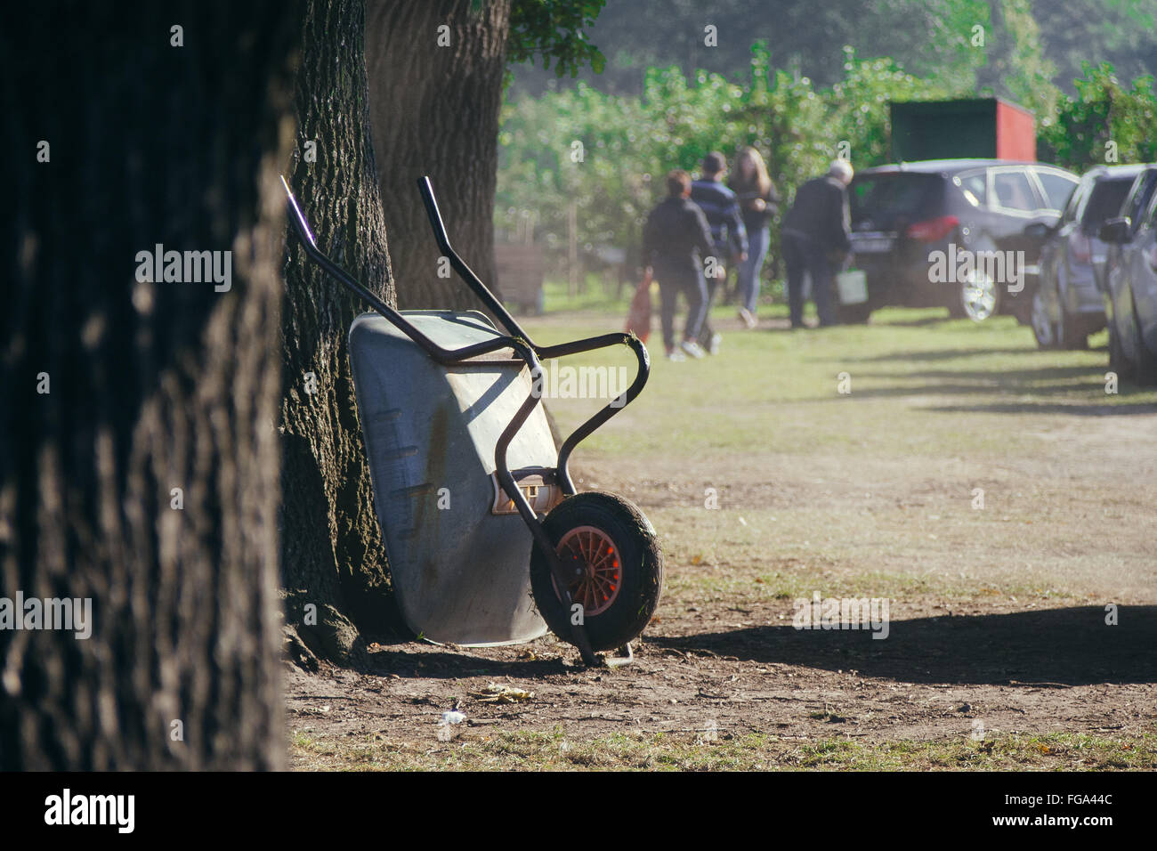 Push Cart Leaning On Tree Stock Photo - Alamy
