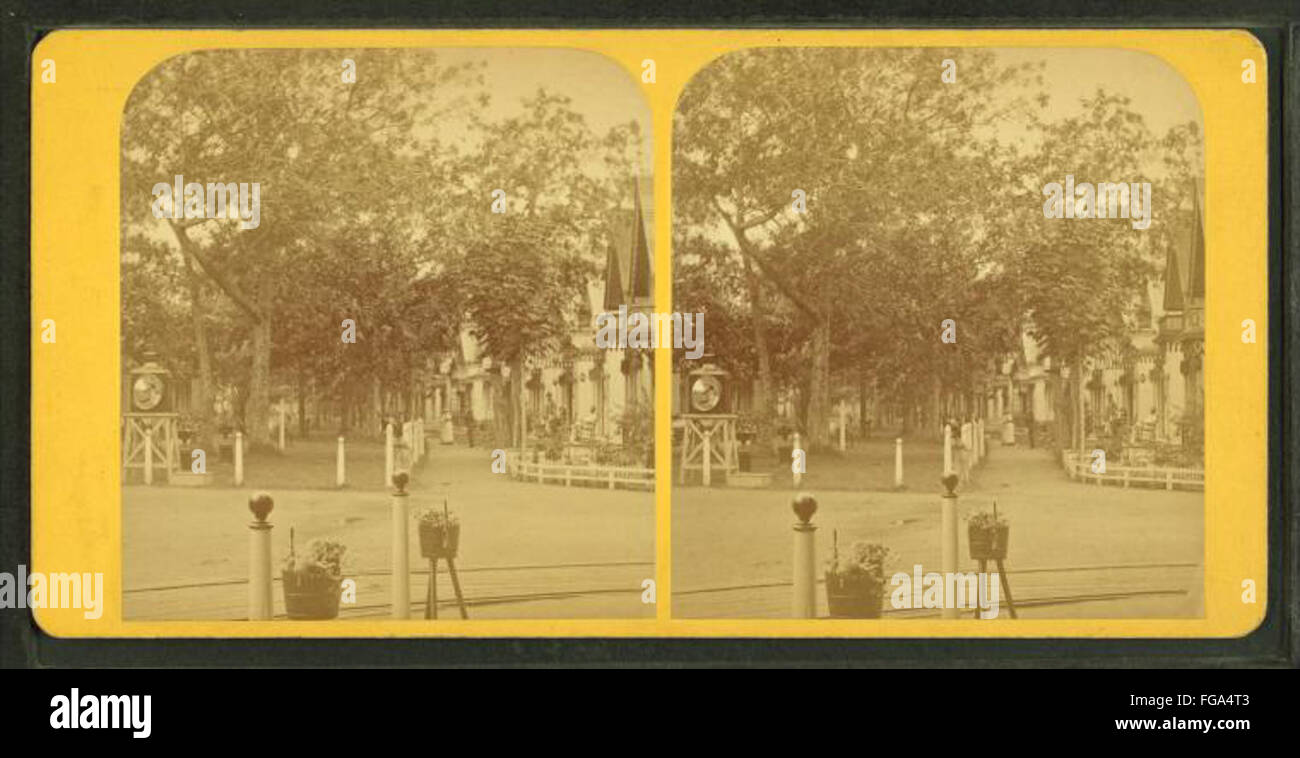This photograph captures Clinton Avenue, showcasing the street and the ...