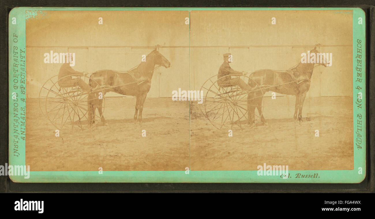 A photograph by Schreiber & Sons of Col. Russell, likely a prominent ...