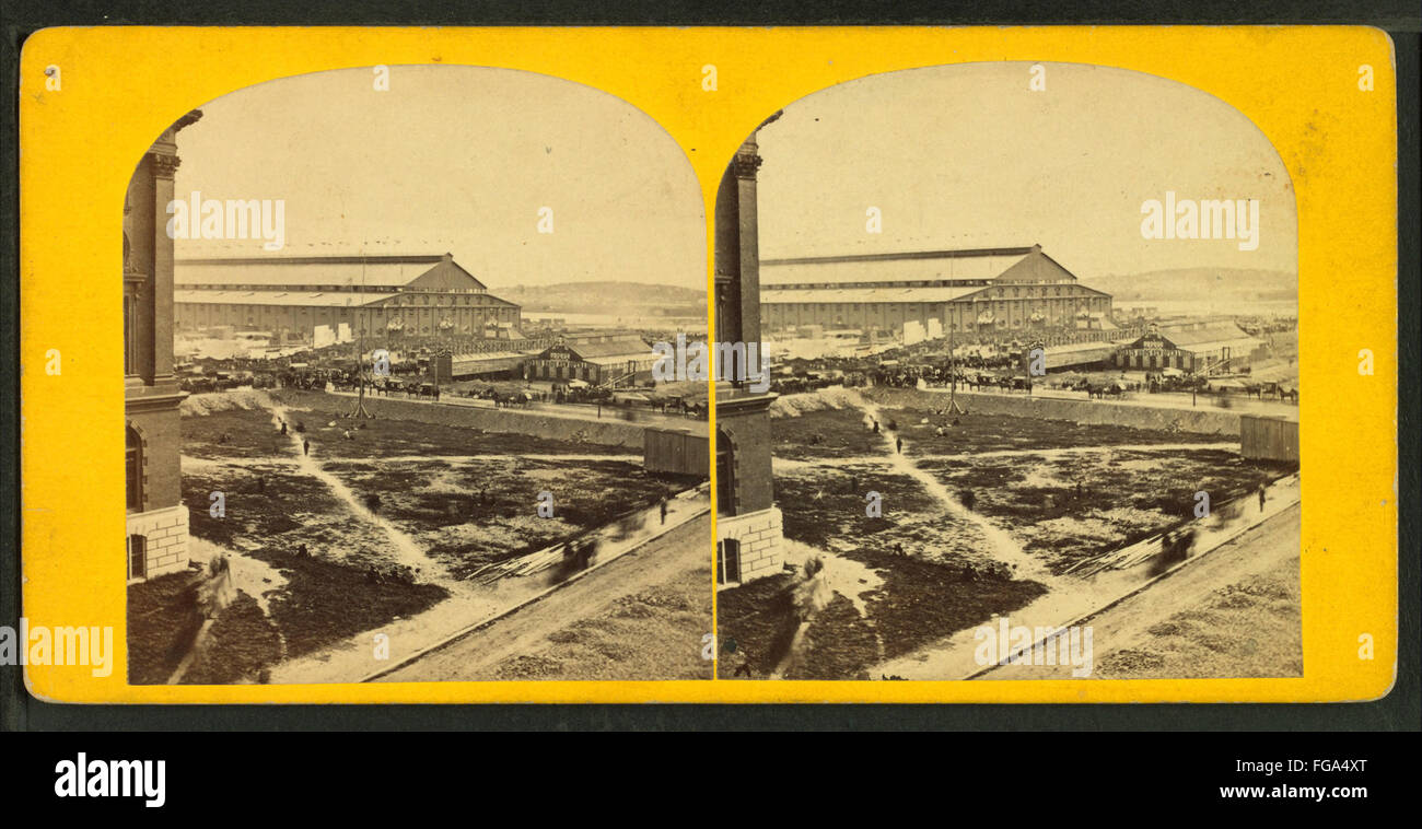 View of the Coliseum, showcasing its architectural grandeur and ...