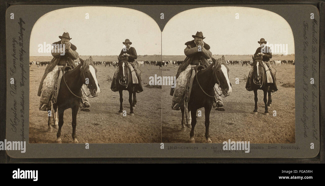 A photograph of cowboys on horseback during an autumn beef roundup in ...