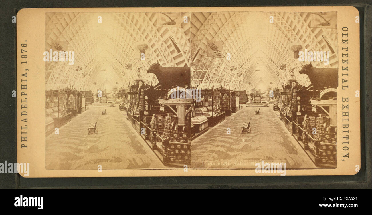 Photograph of Agricultural Hall on Main Avenue, captured in ...