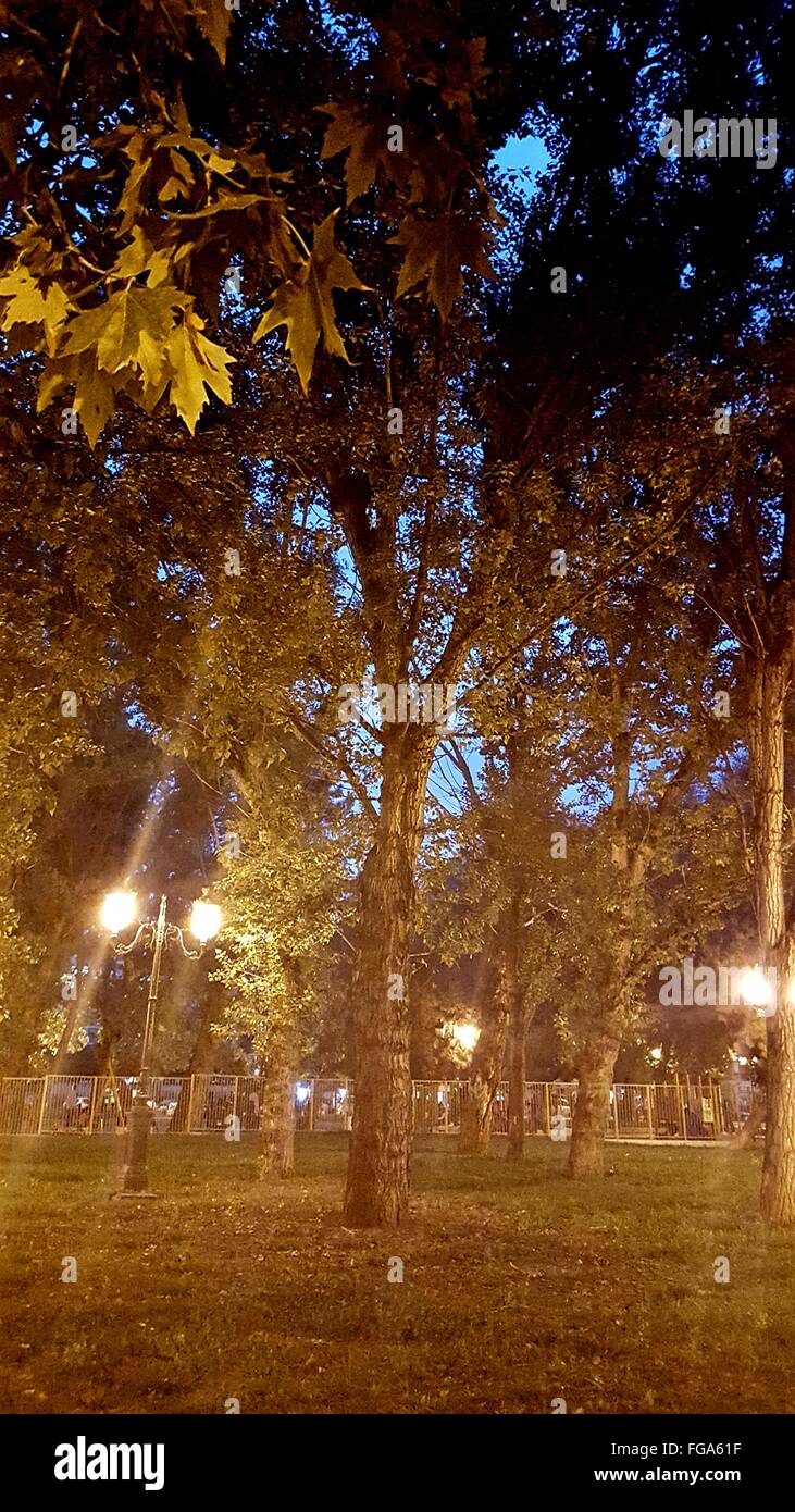 Park lamps hi-res stock photography and images - Alamy
