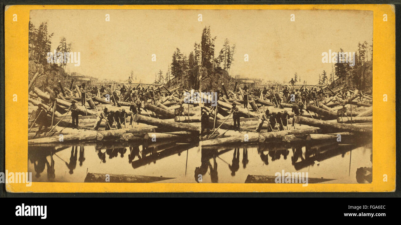 This photograph by Benjamin Franklin Upton shows the Dells of St. Croix ...