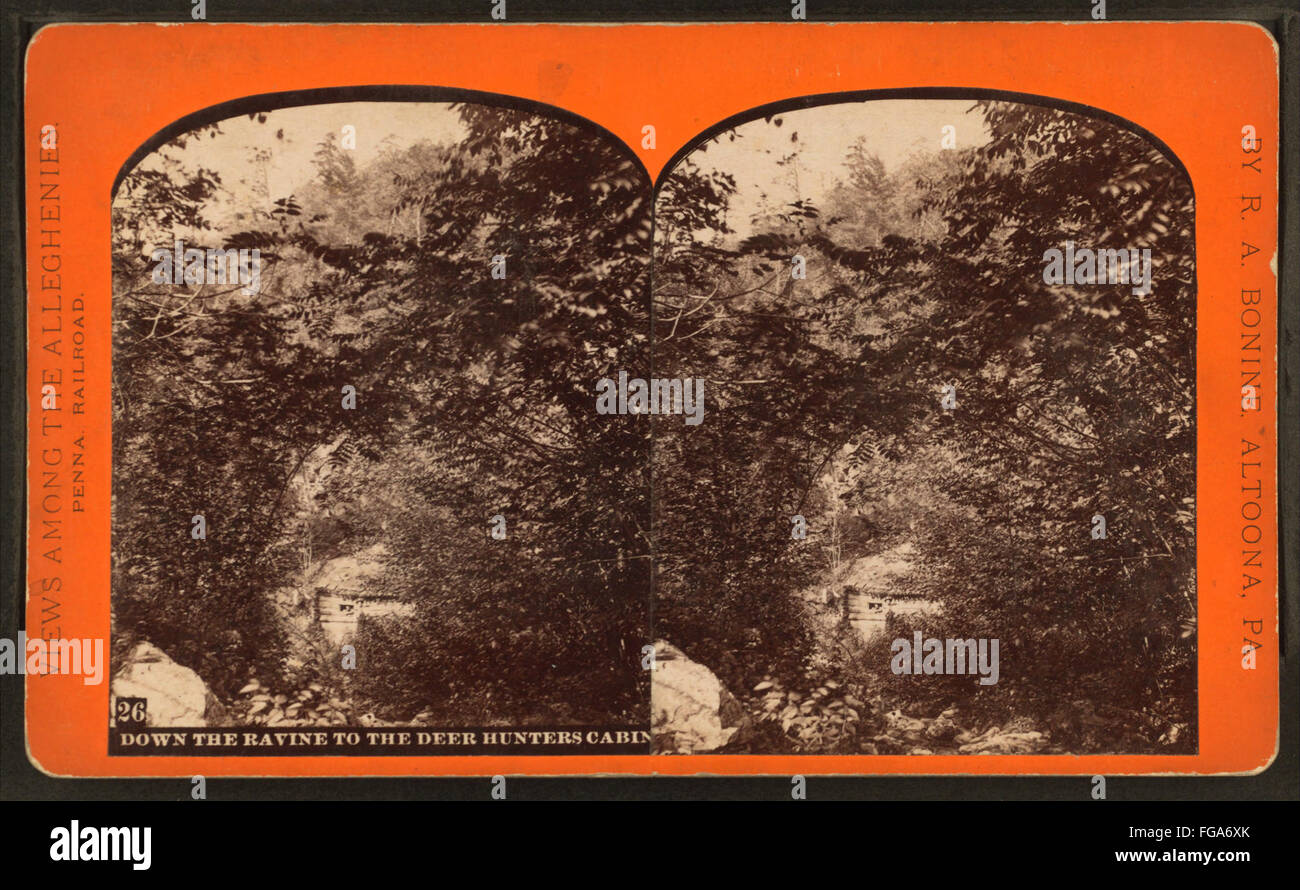 This photograph by R. A. Bonine shows a path down a ravine leading to a ...