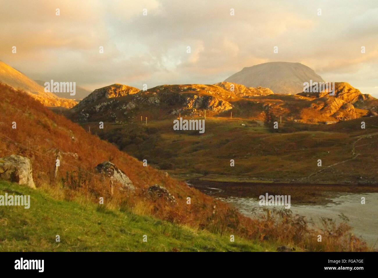 Arkle hi-res stock photography and images - Alamy