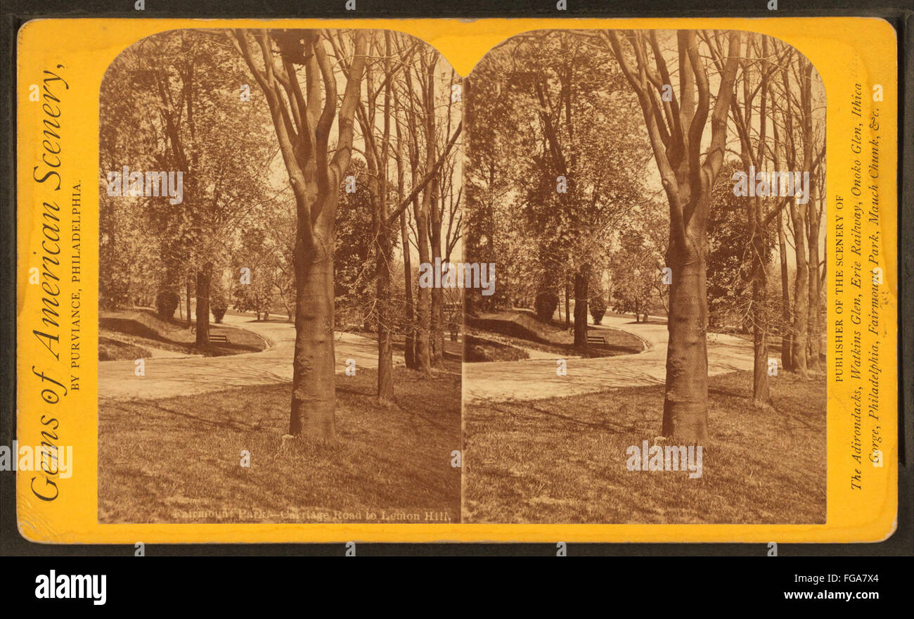 A photograph by William T. Purviance showing the carriage road leading ...