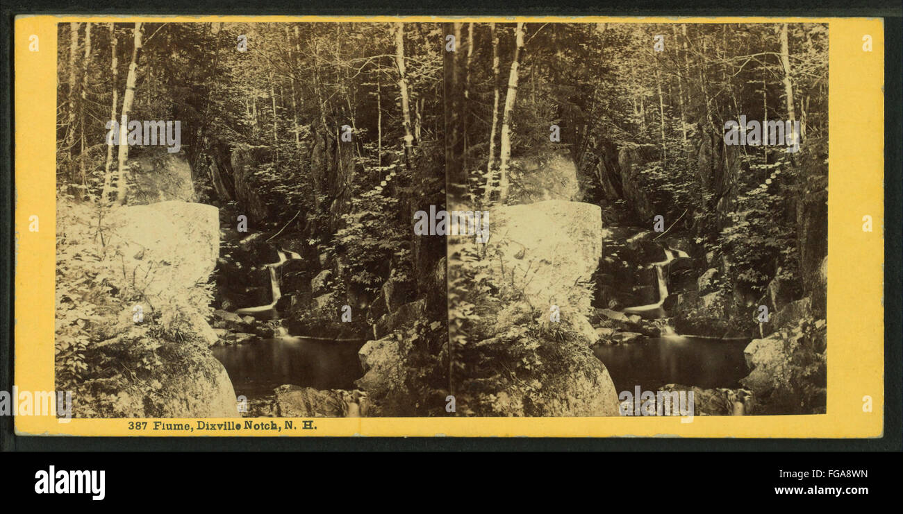 A photograph by the Bierstadt Brothers depicting the Flume in Dixville ...