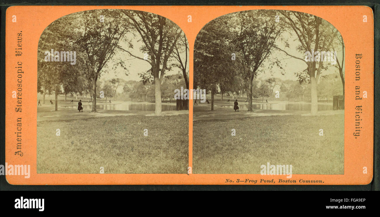 This stereoscopic view depicts the Frog Pond in Boston Common ...