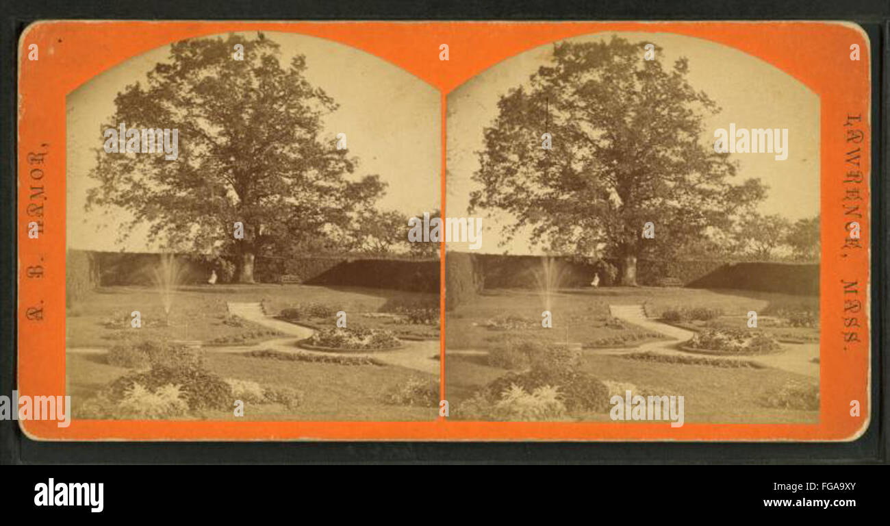 A photograph by A. B. Hamor depicting a well-maintained garden with ...