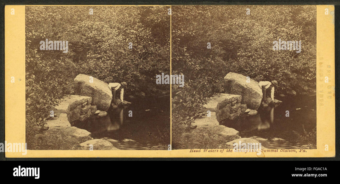 A photograph by John Moran, depicting the headwaters of the Schuylkill ...