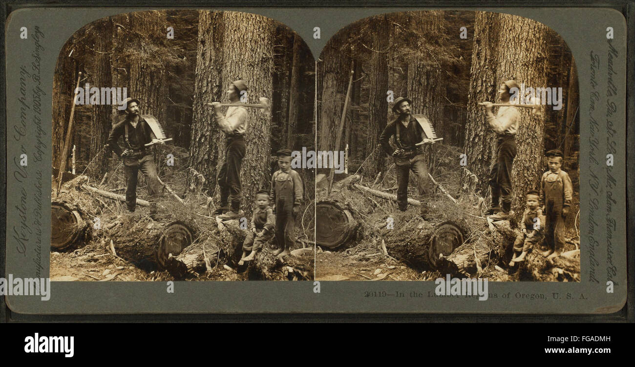 A photograph from the lumber region of Oregon, showing the vast forests ...