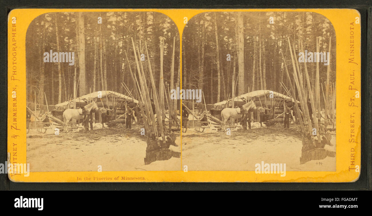In the pineries of Minnesota, by Zimmerman, Charles A., 1844-1909 Stock ...