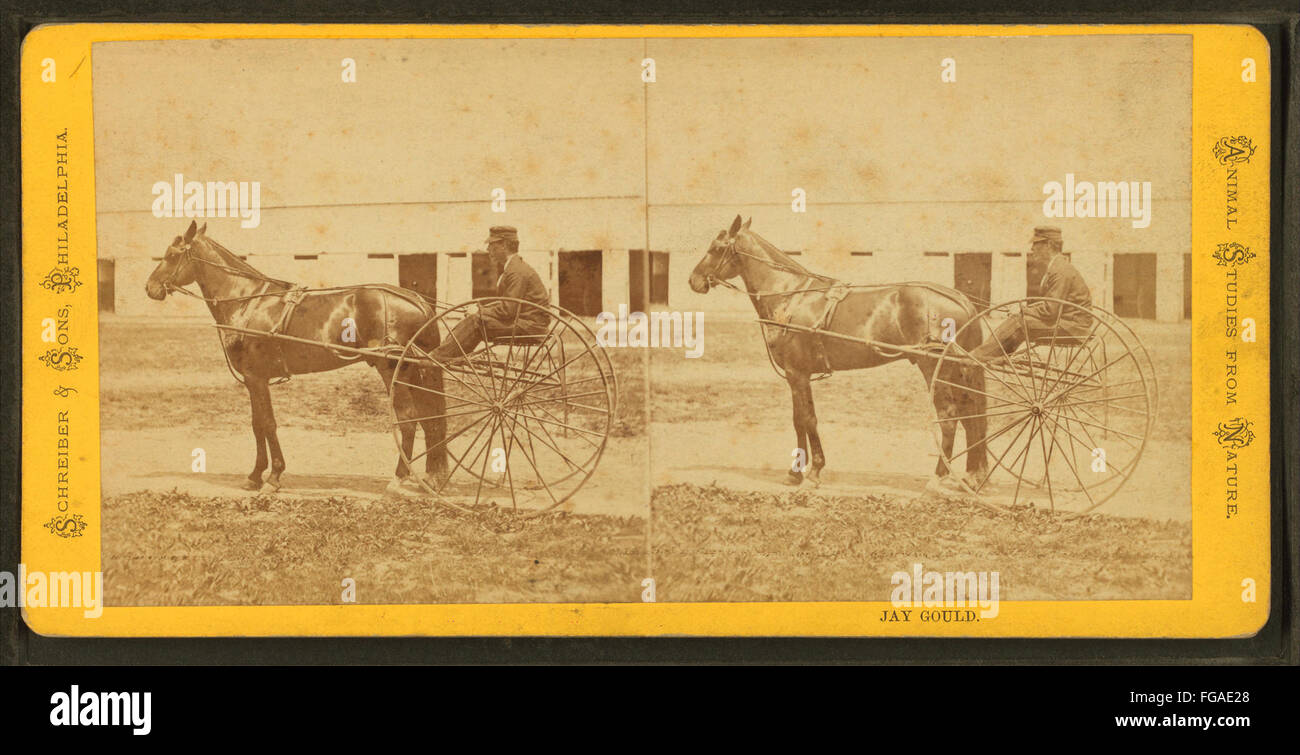 A photograph by Schreiber & Sons of the industrial magnate Jay Gould ...
