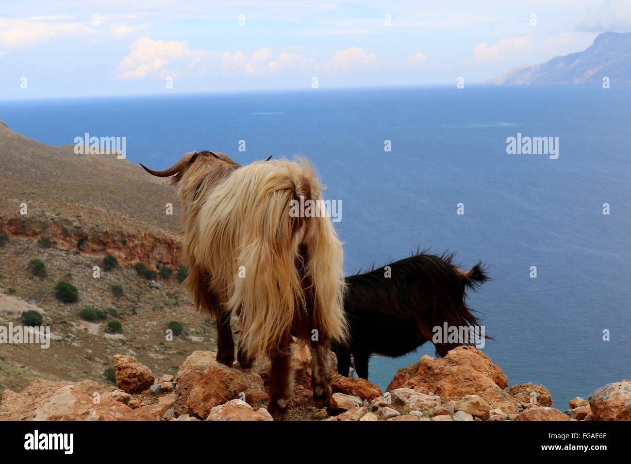 The hill of the goats hi-res stock photography and images - Alamy
