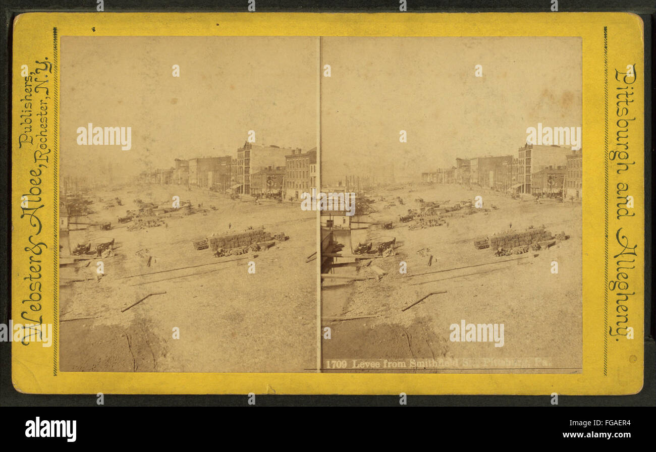 A photograph from the Robert N. Dennis collection showing the levee ...