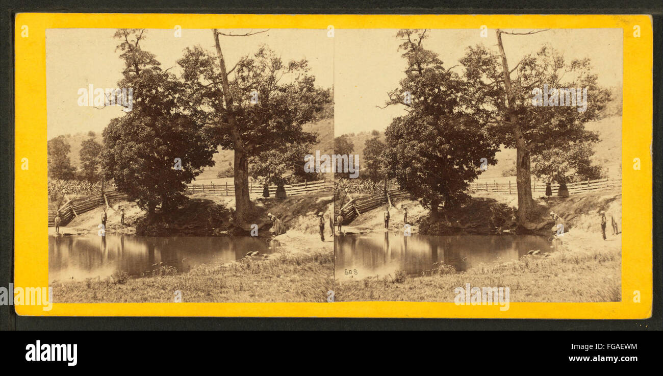 A photograph from the Robert N. Dennis collection showing Logan's ...