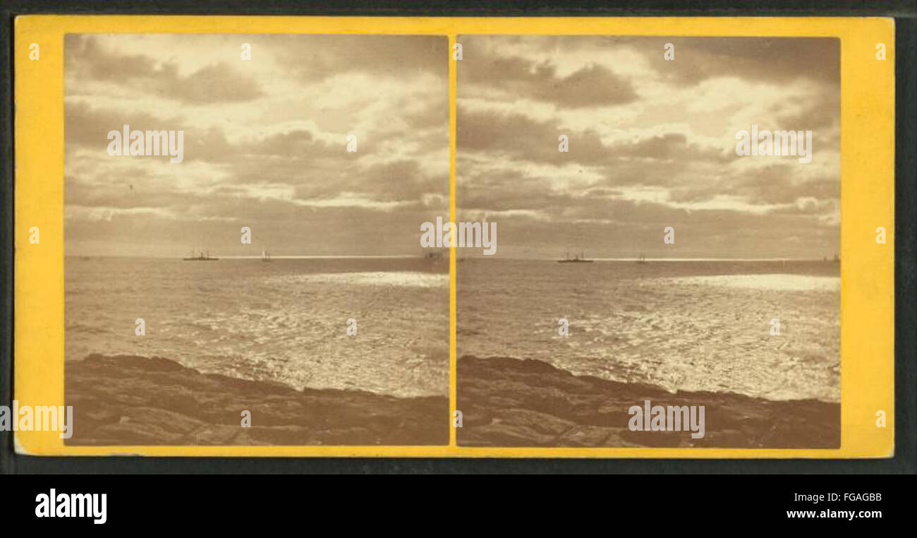 A study of marine life and seascapes captured by John B. Heywood ...