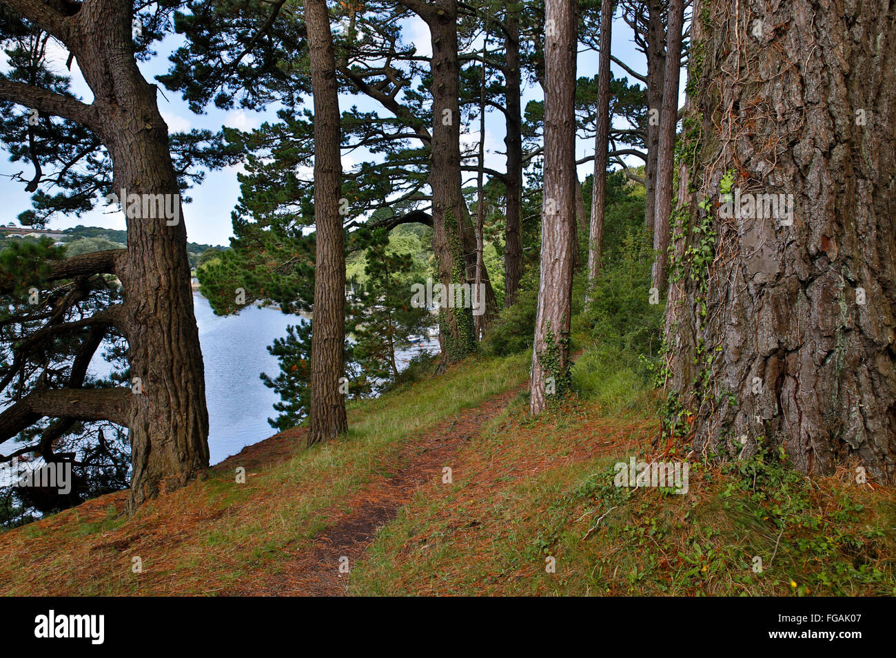 Malpas cornwall hi-res stock photography and images - Alamy