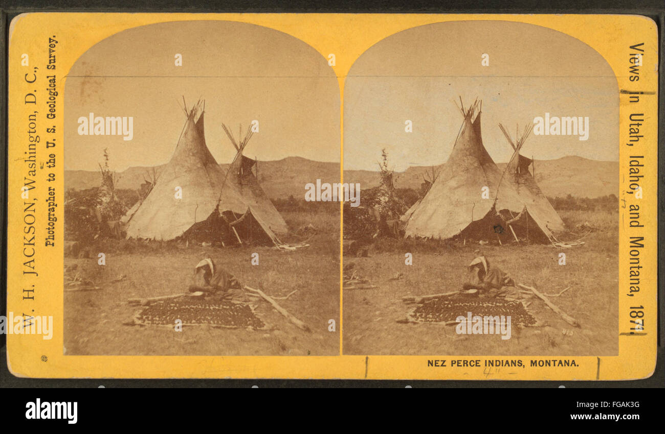 Nez perce indians hi-res stock photography and images - Alamy