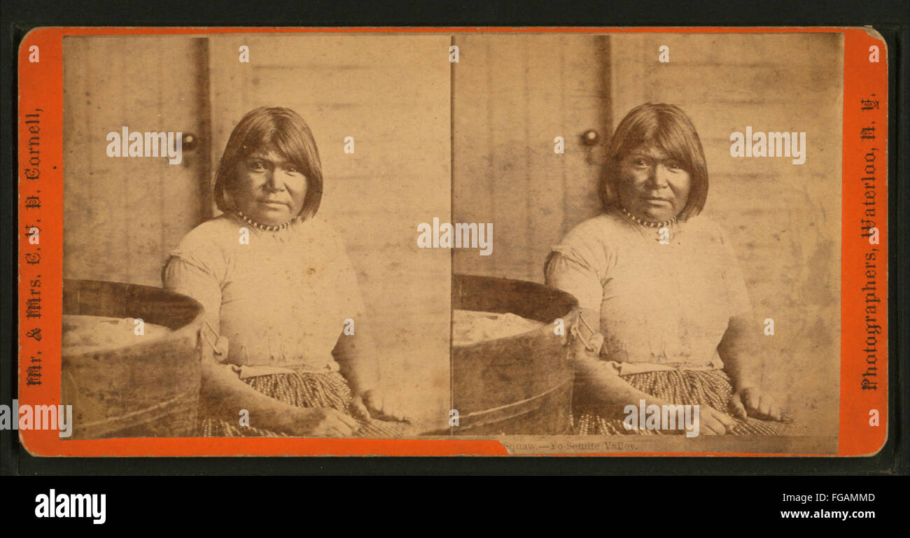 This stereoscopic view from the Robert N. Dennis collection captures a ...
