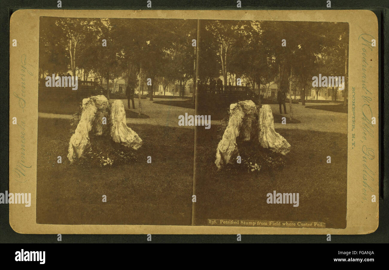 Image of a petrified stump from the field where Custer's Last Stand ...