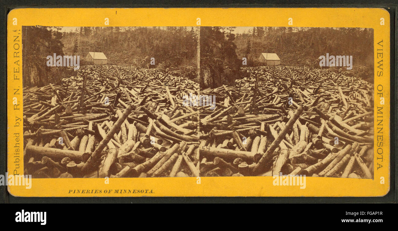 This photograph by R.N. Fearon shows the expansive pineries of ...