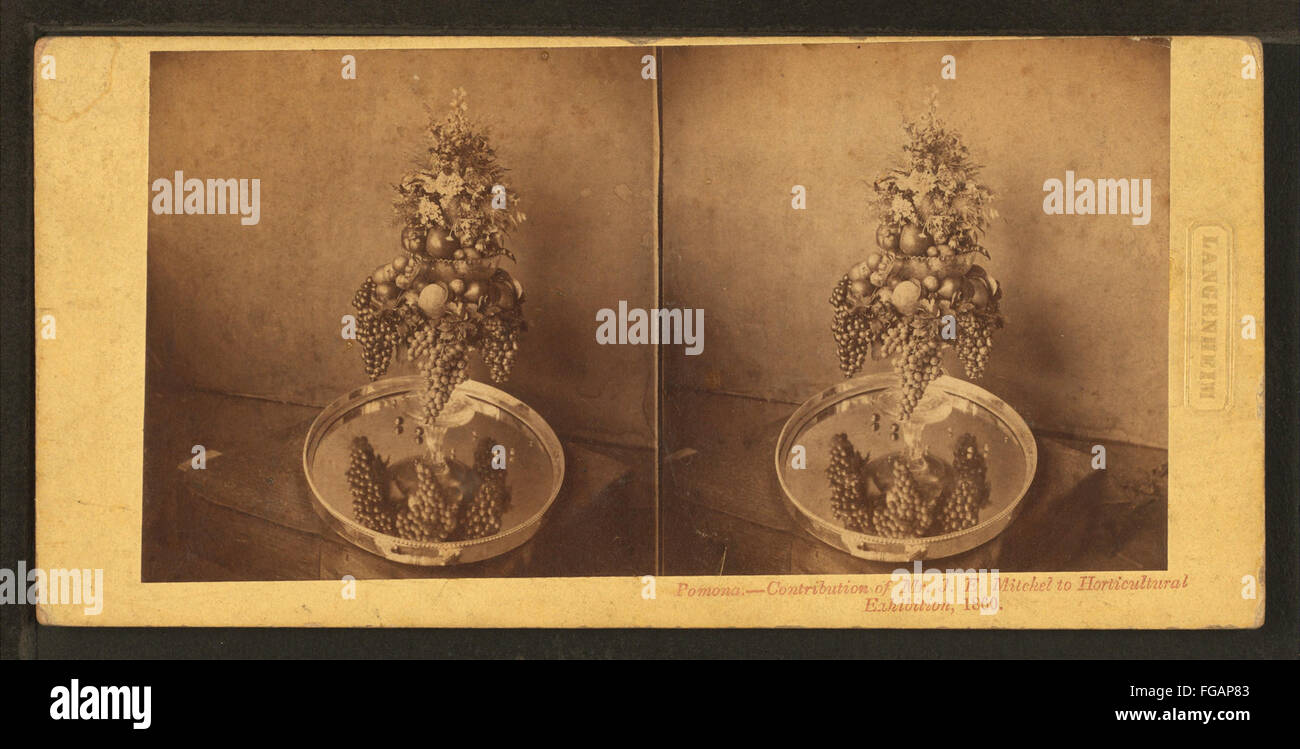 This image features a bowl of fruit titled 'Pomona', contributed by Mr ...