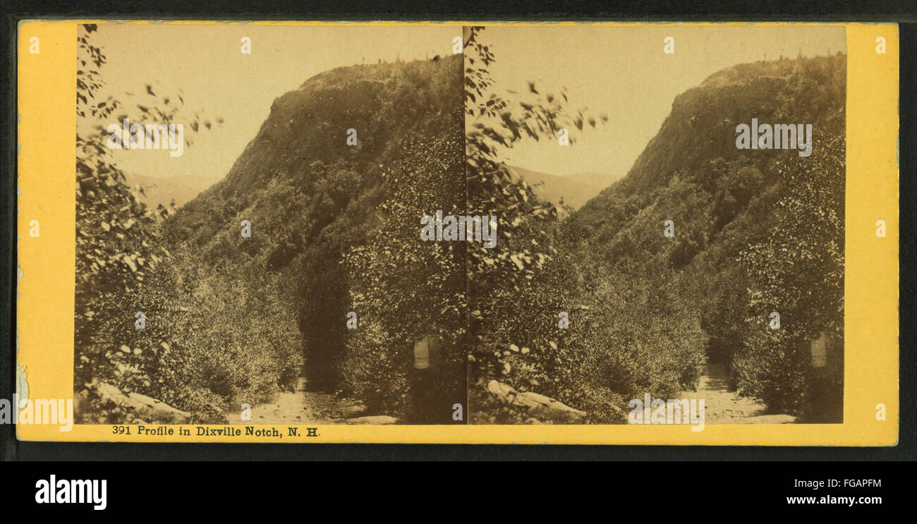 A photograph by the Bierstadt Brothers showing a profile view of ...