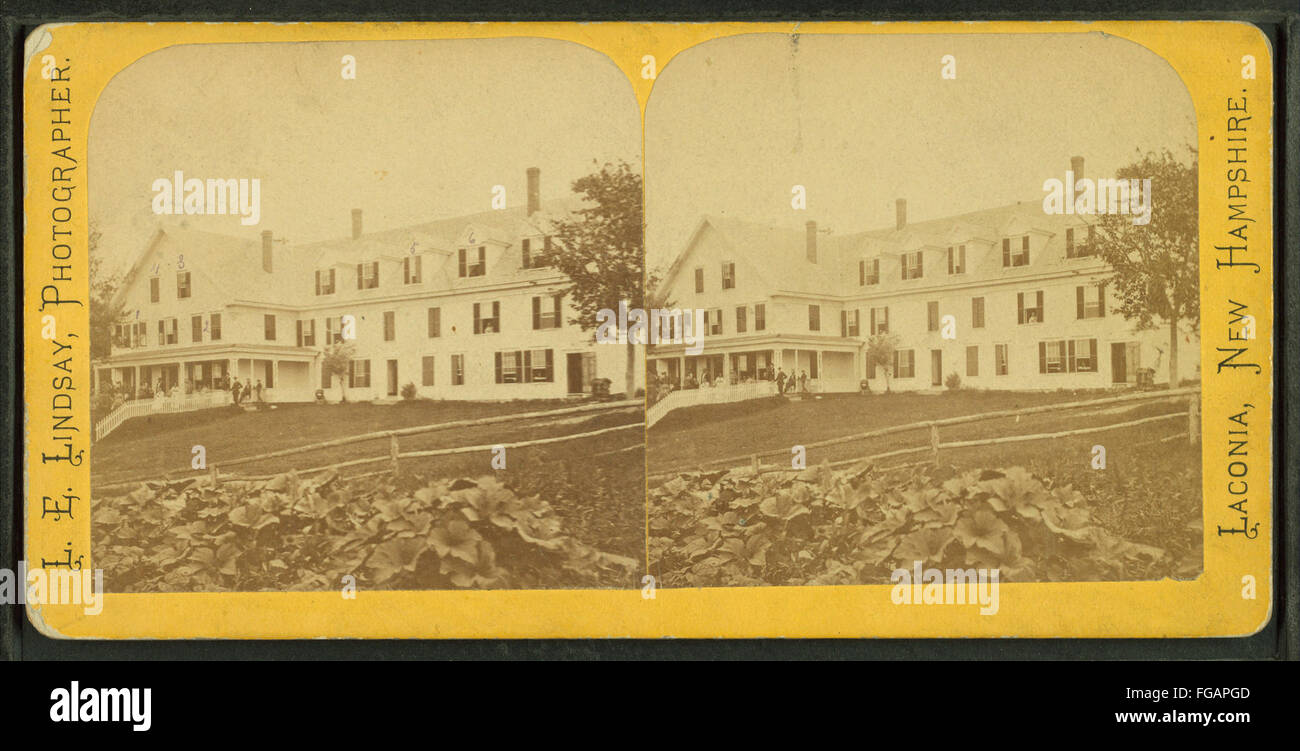 A photograph from the Robert N. Dennis collection showing Prospect ...