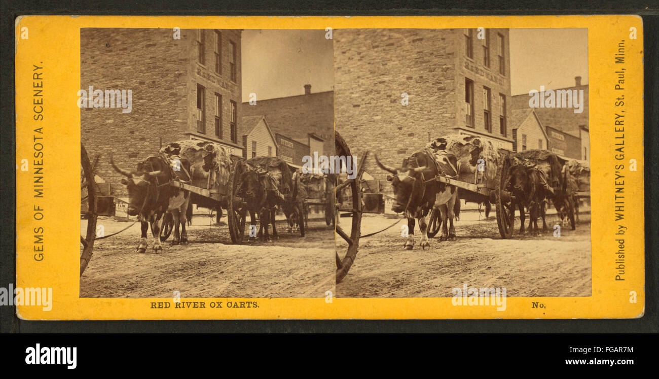 A photograph of Red River ox carts, captured by Whitney’s Gallery. The ...